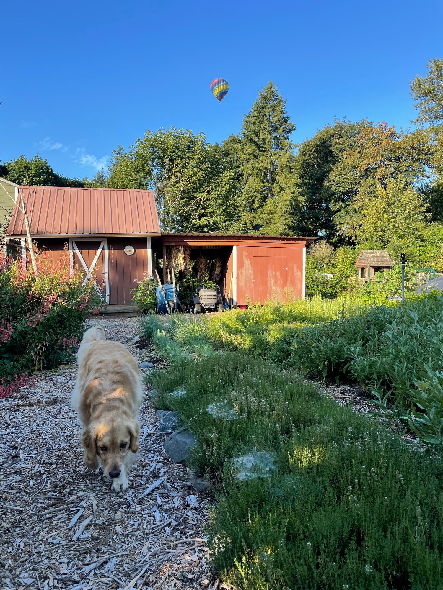 Radicle Roots Farm