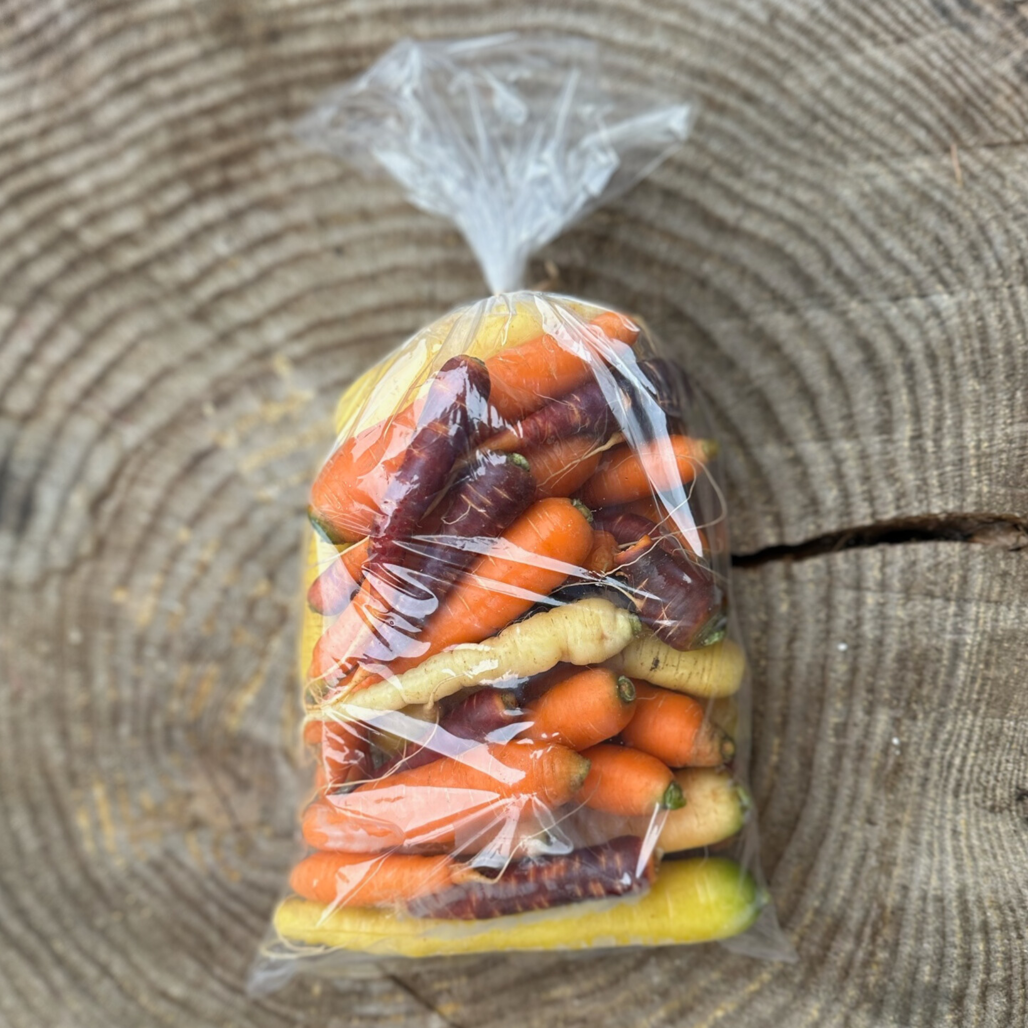 Carrots Rainbow Bulk 4lb Bag – Radicle Roots Farm