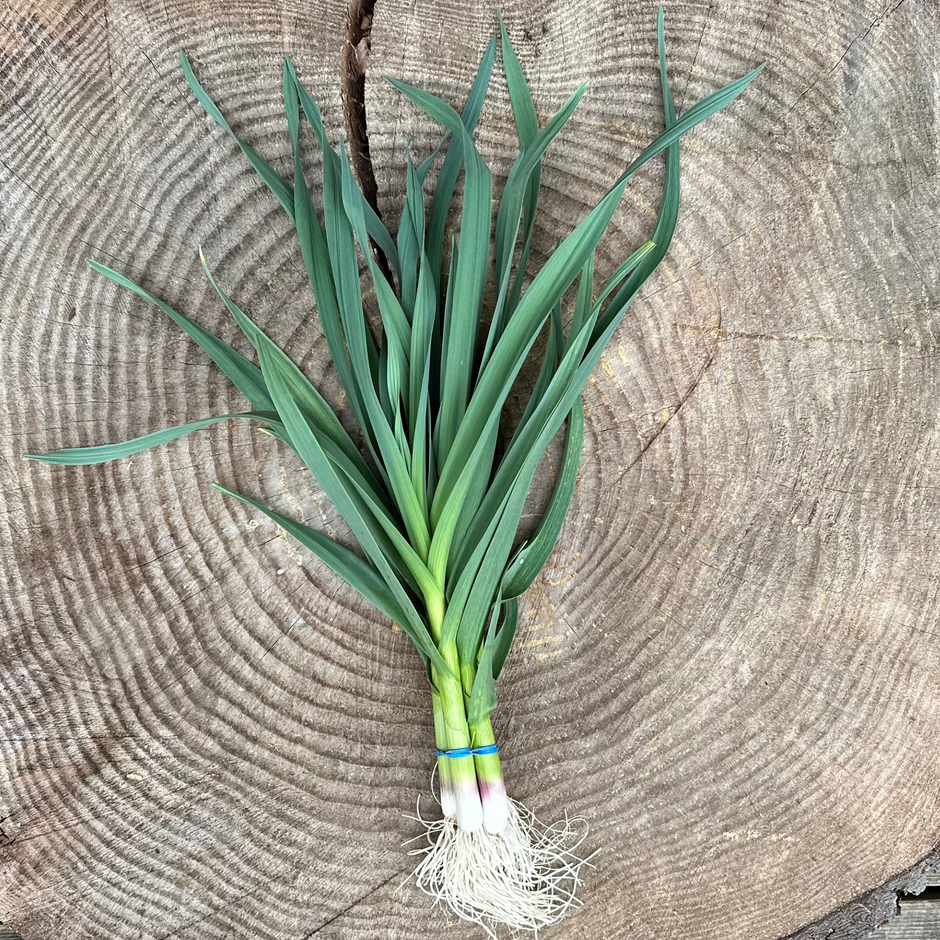 Radicle Roots Online Farm Store – Radicle Roots Farm